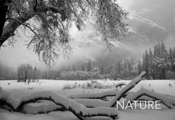 ROBERT FIELDS PHOTOGRAPHY – Fine Art Photography